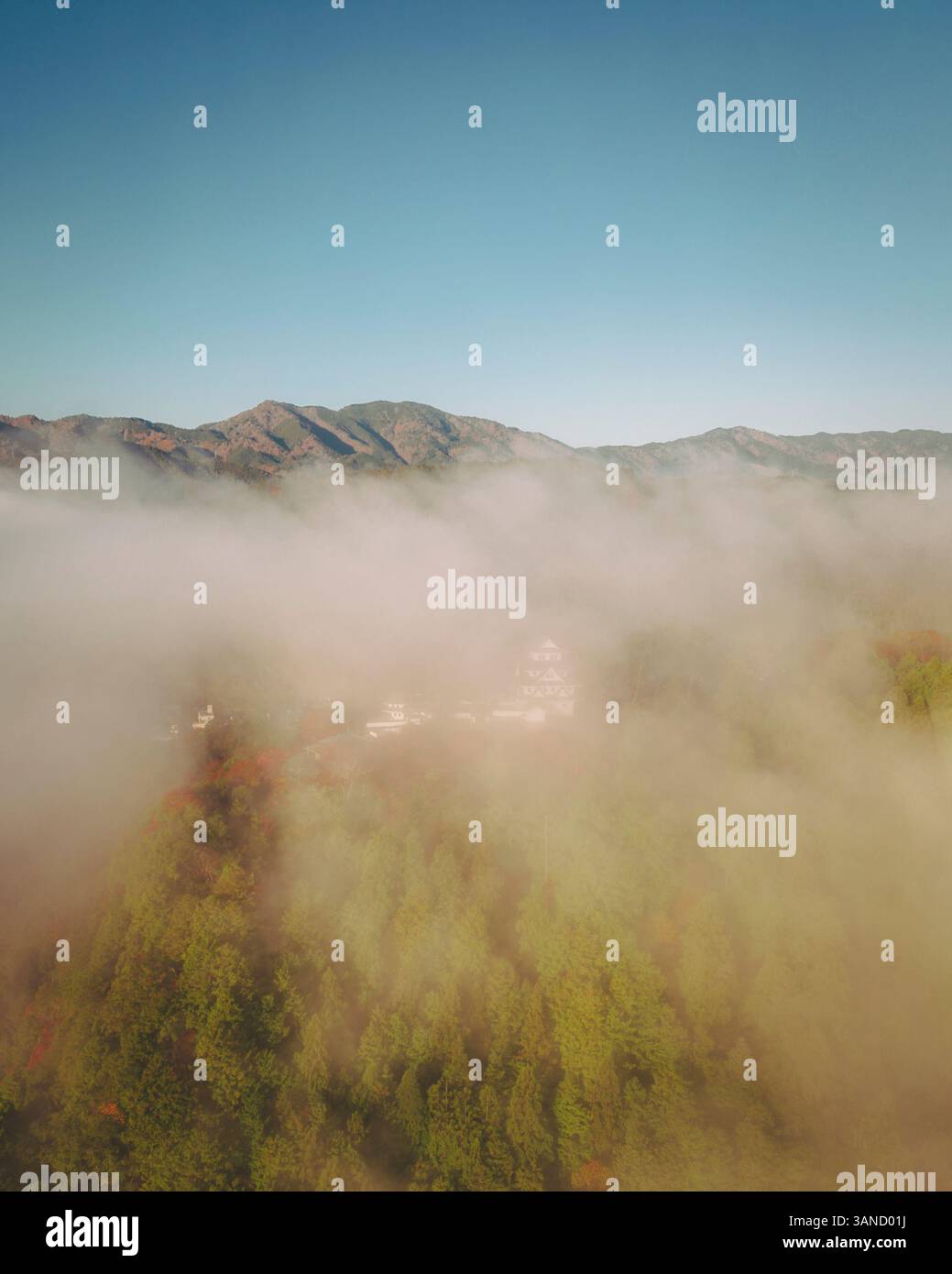 Aerial view of Gujo Hachiman Castle at sunrise during koyo season, Gujo ...