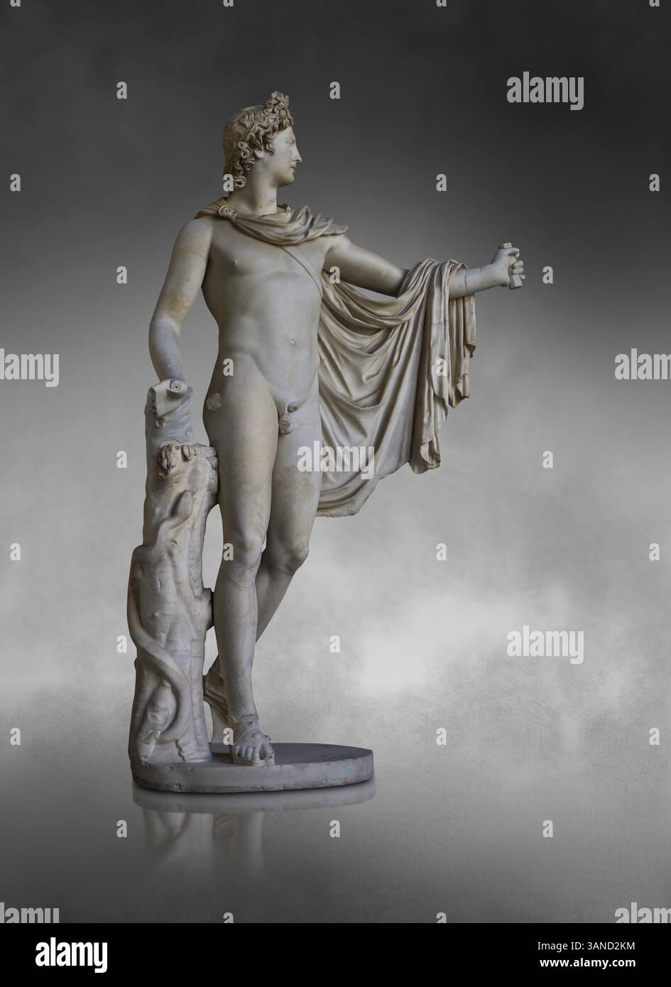 Roman statue known as the Belvedere Apollo. Mid 2nd Cent AD Roman copy ...