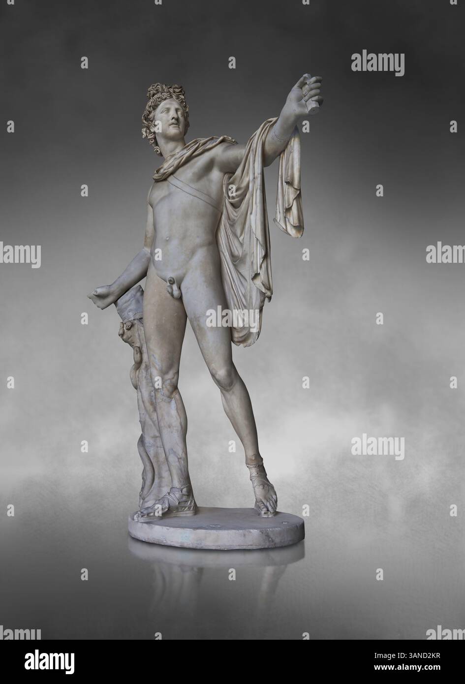 Roman statue known as the Belvedere Apollo. Mid 2nd Cent AD Roman copy ...