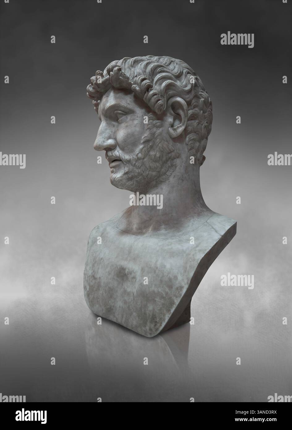 Roman marble portrait bust of Emperor Hadrian from Castel Sant' Angelo ...