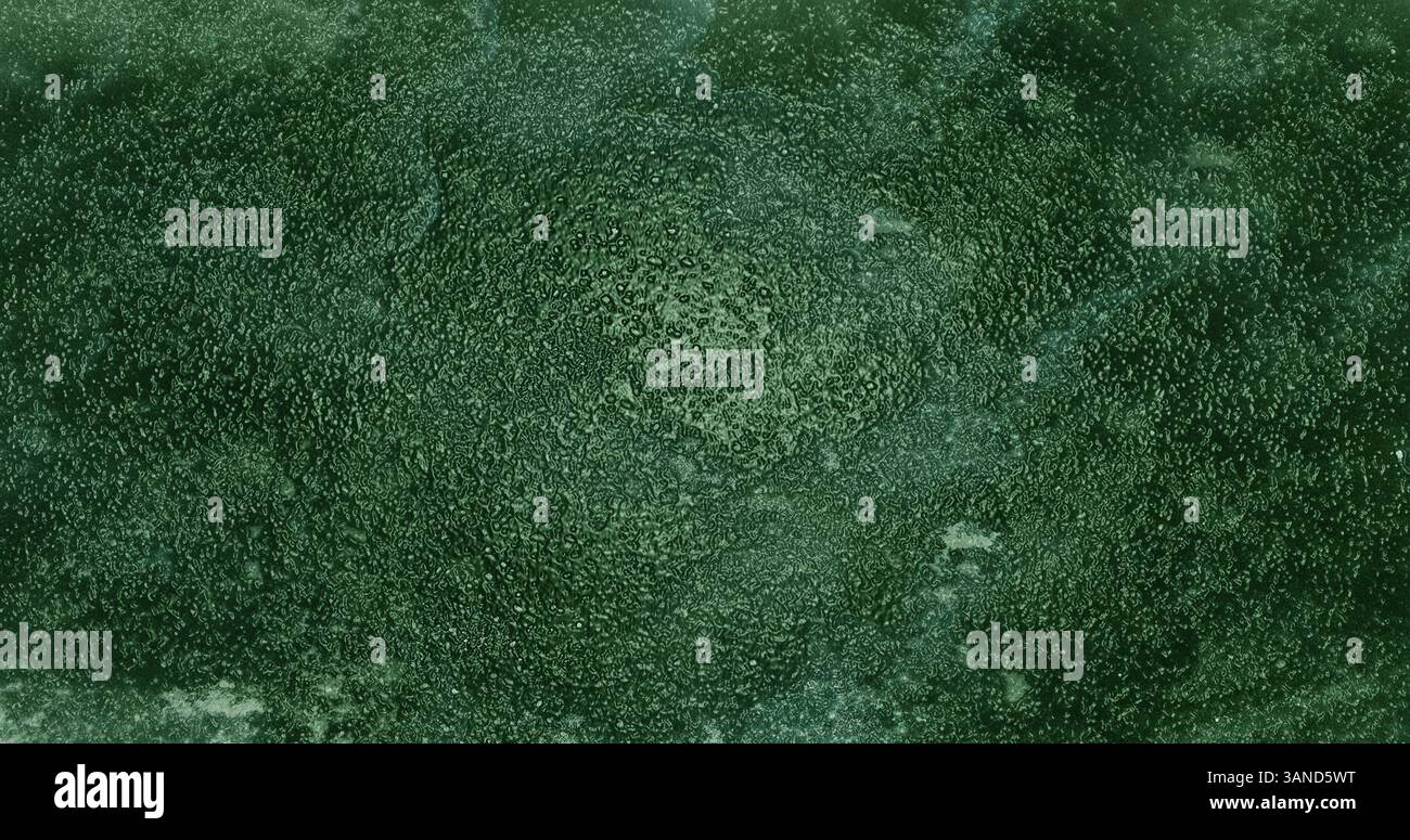 Green textured background showing tiny bumps creating a concentric ...