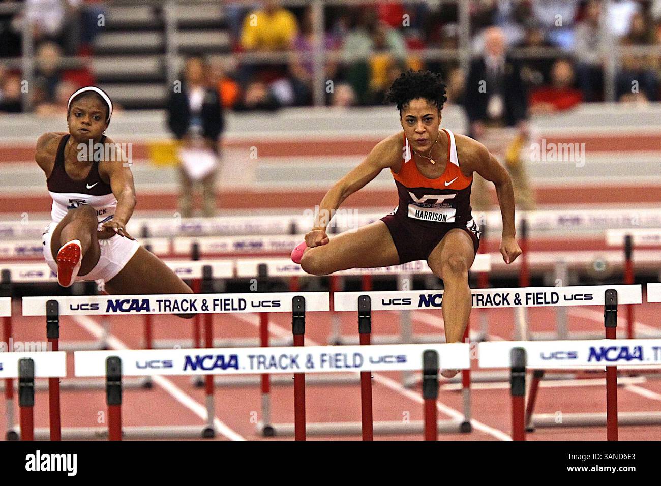 Texas tech hurdles hi-res stock photography and images - Alamy