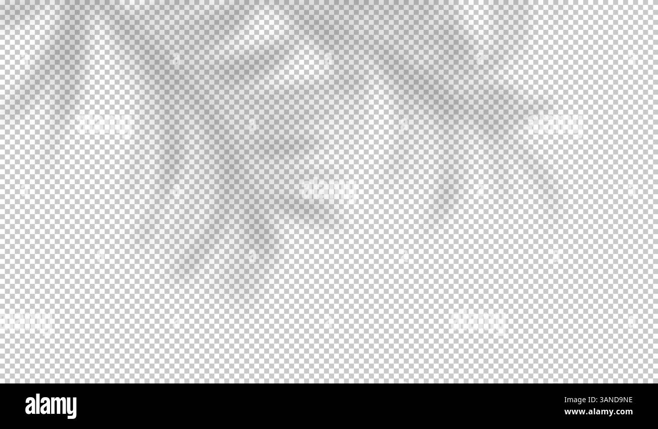 Shadow of leaf from window. Shadows palm leave isolated on transparent ...