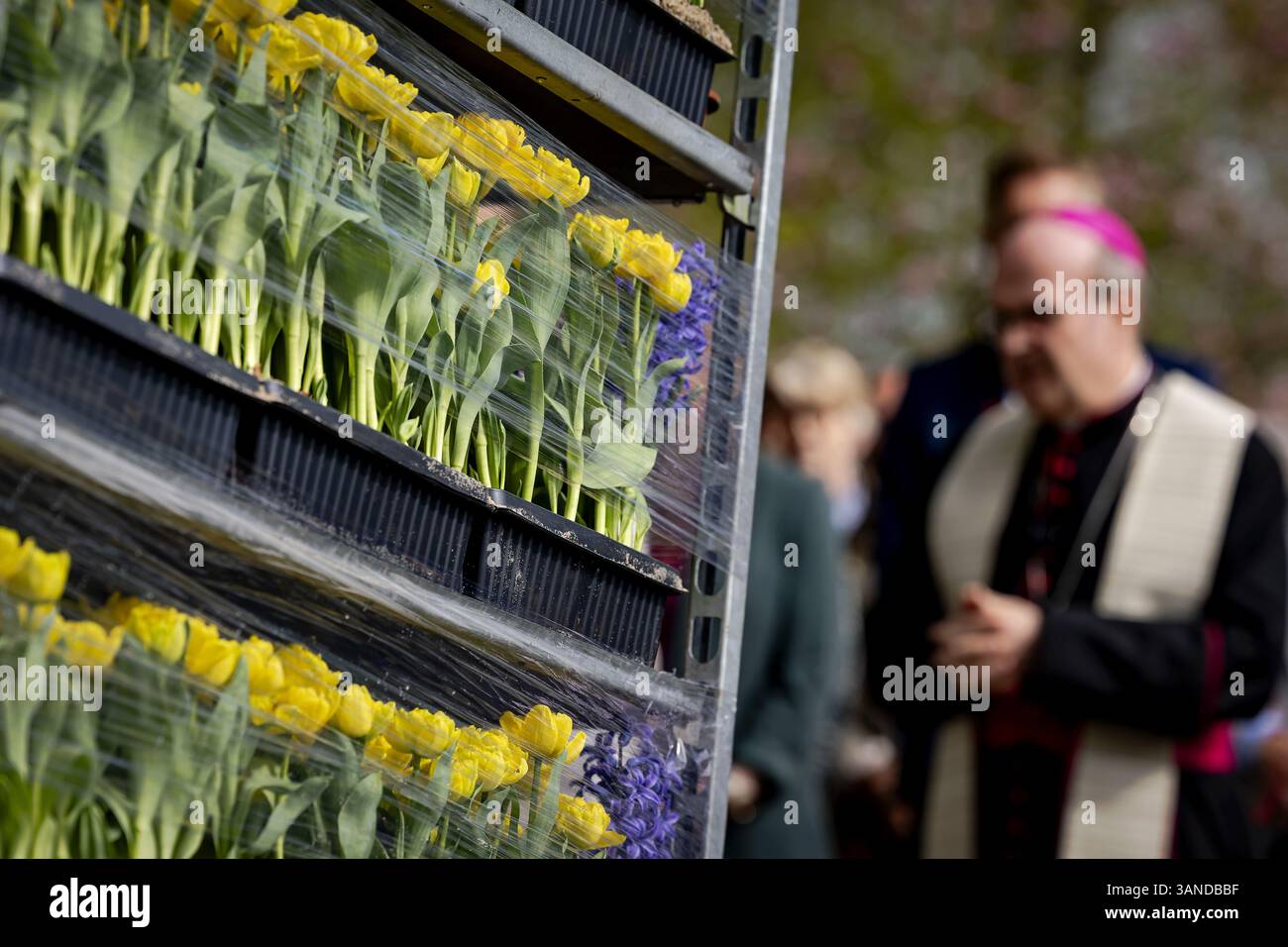 LISSE - Bishop of Rotterdam Hans van den Hende blesses flowers at ...