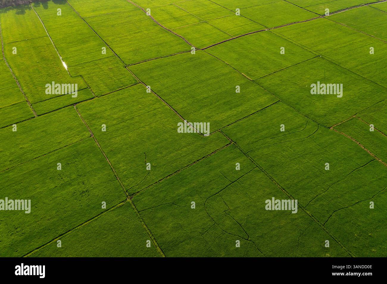 Kerala ecosystem diversity hi-res stock photography and images - Alamy