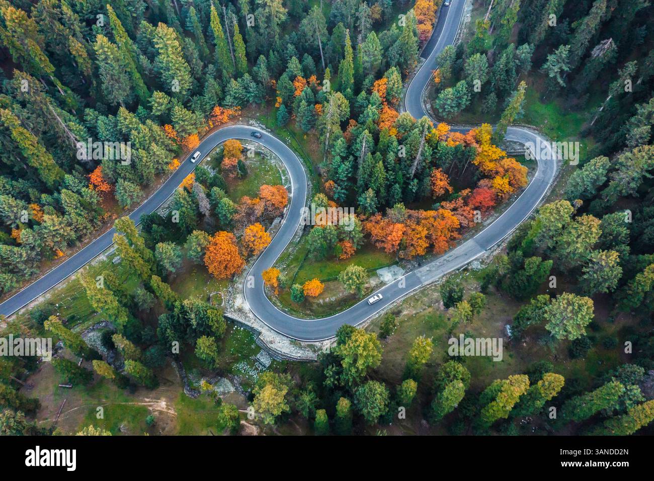 Aerial view of vehicles driving a mountain road among pine trees in a ...