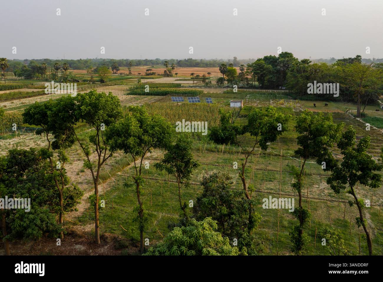 Aerial view of solar panel installed in countryside field in Pusa ...