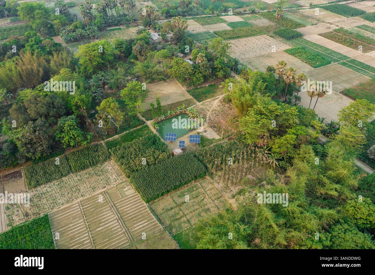 Aerial view of solar panel installed in countryside field in Pusa ...