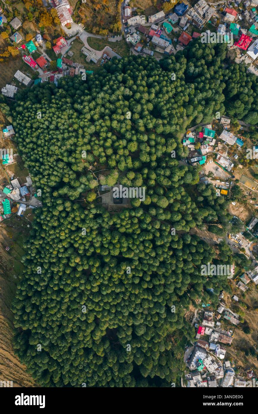Aerial view of Hadimba Devi Temple, an historic wooden Hindu temple in ...