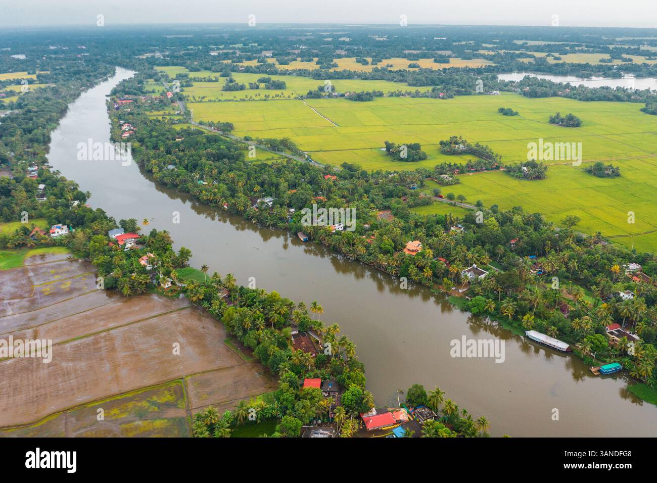 Aerial view of the backwaters, Kerala, India Stock Photo - Alamy