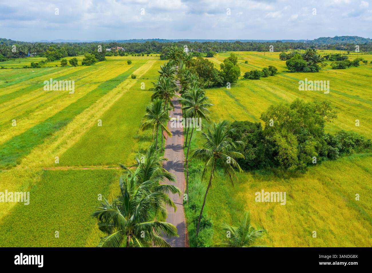 Mapusa goa parra hi-res stock photography and images - Alamy
