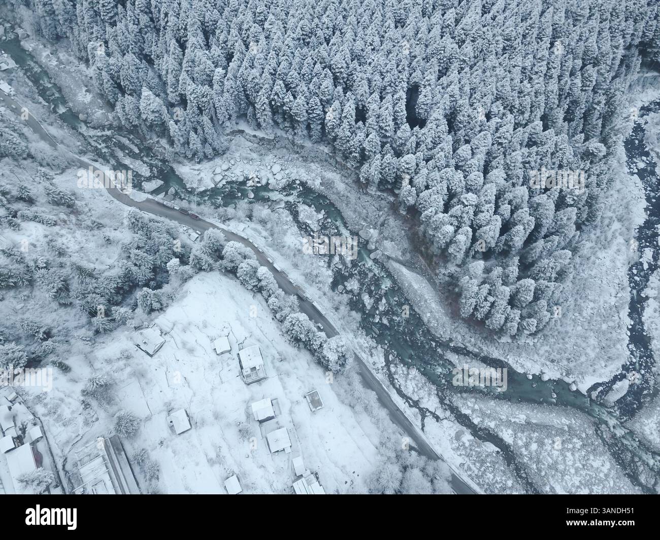 Top aerial view of Beas river by the pine trees forest in Manali city ...