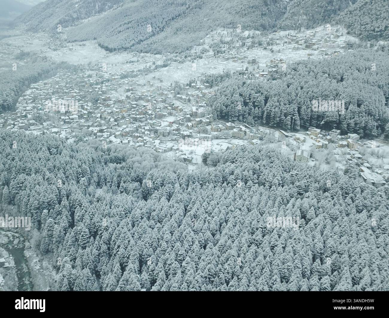 Aerial view of snow-capped old Manali neighbourhood sourrounded by pine ...