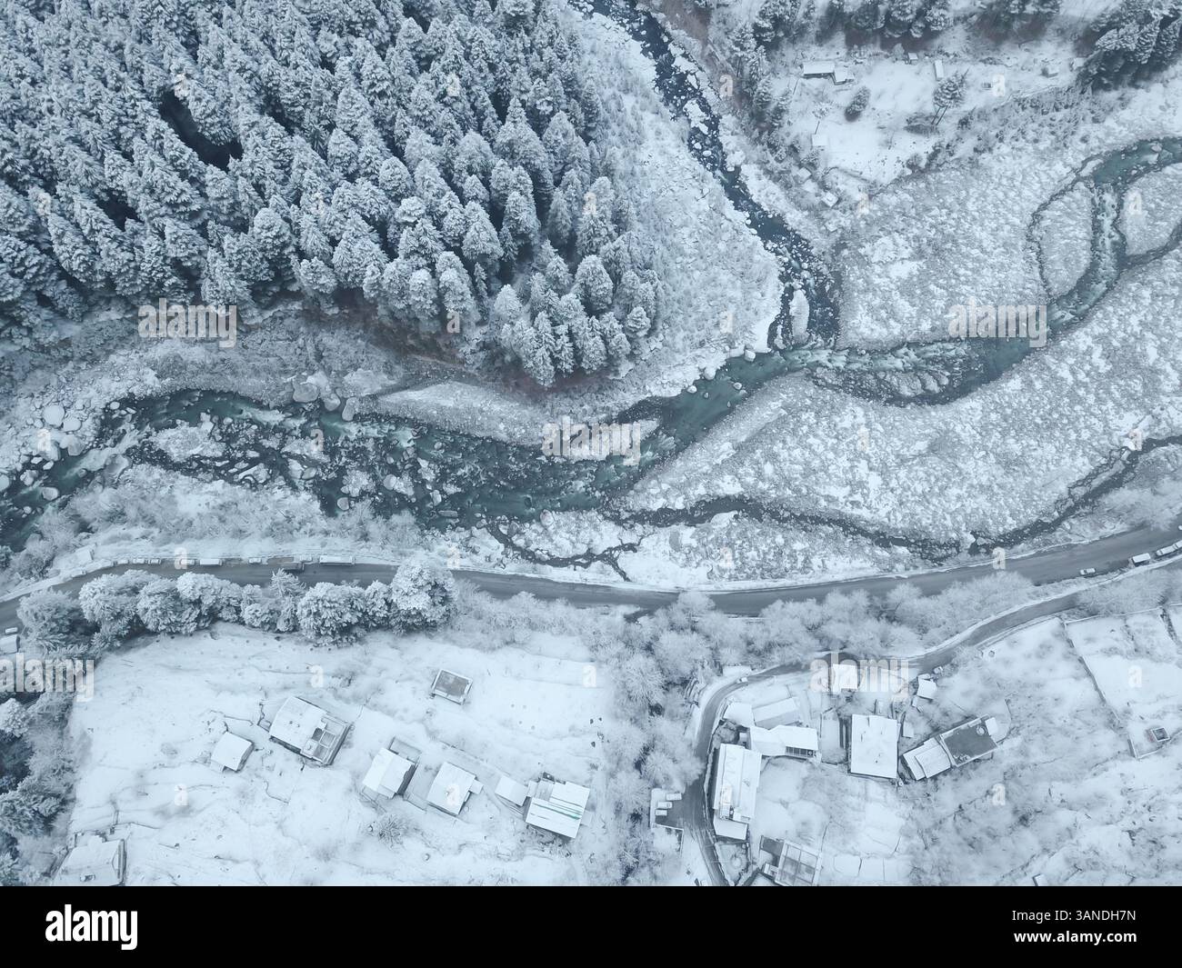 Top aerial view of Beas river by the pine trees forest in Manali city ...
