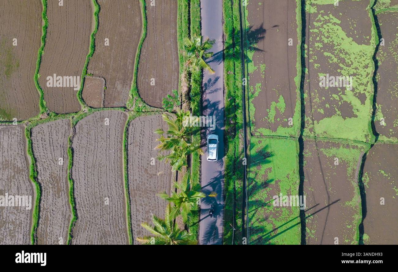 Aerial view of a car down the road on a sunny day through the terrace ...
