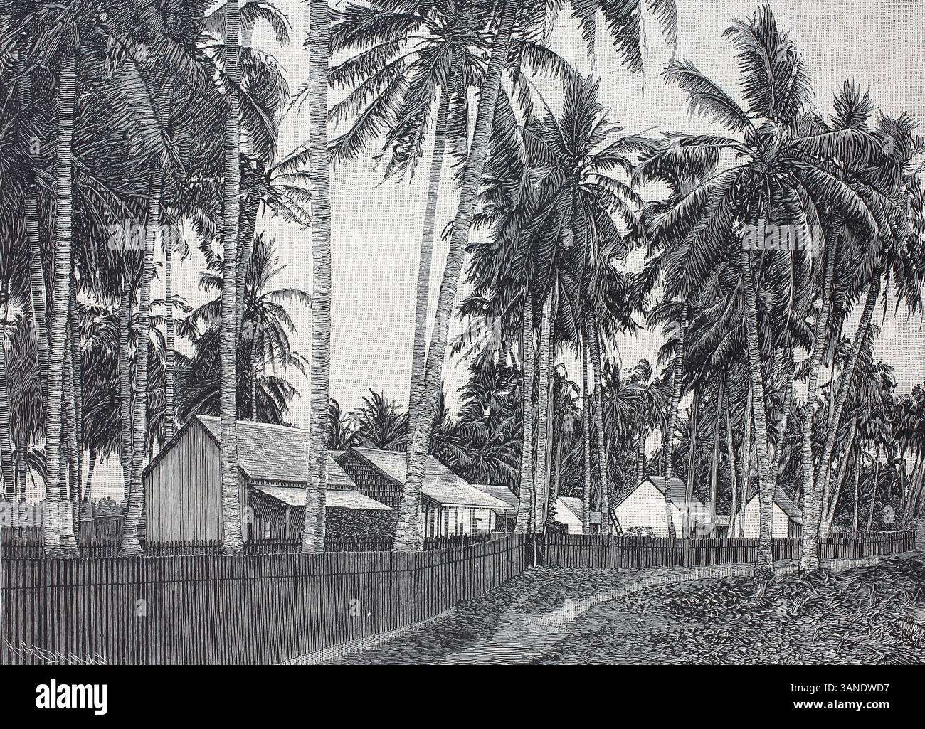German samoa hi-res stock photography and images - Alamy