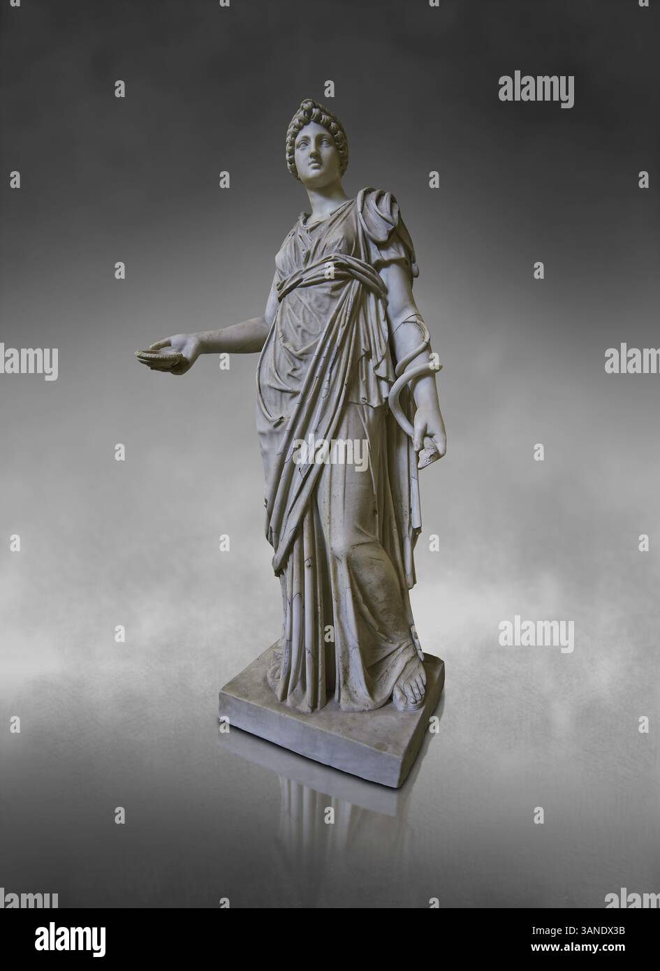 Roman hygiene goddess statue hi-res stock photography and images - Alamy