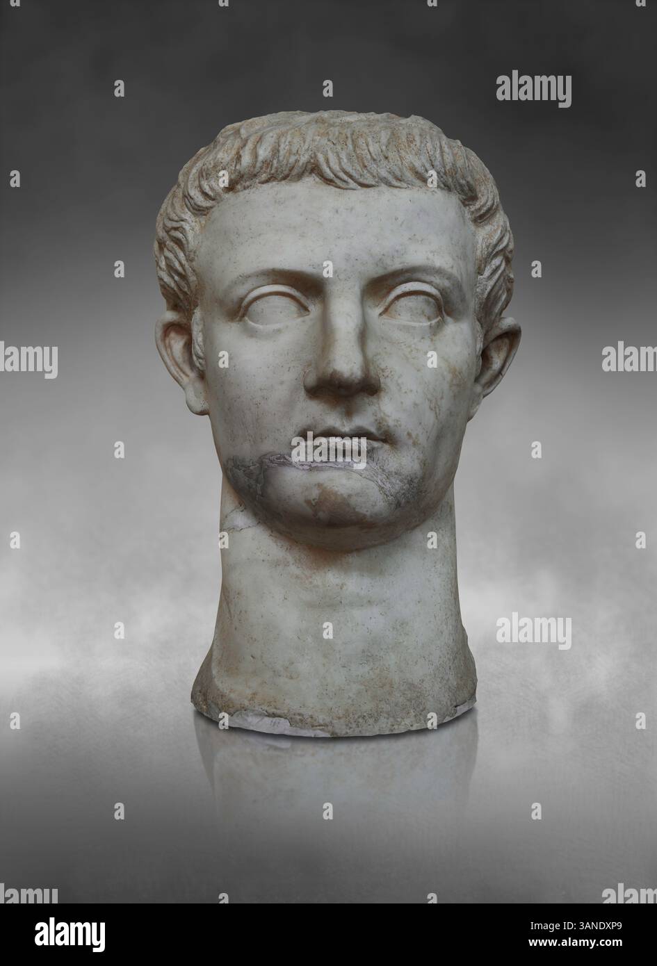 Roman statue head of Emperor Tiberius seated from dynastic cycle ...