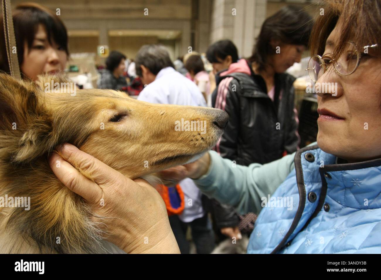 Apr 03, 2010 - Tokyo, Japan - Asian International Dog Show at Tokyo Big ...