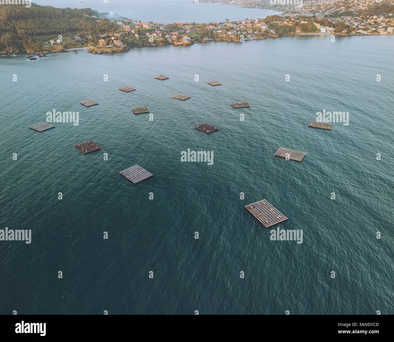 Aerial view of mussel farms in the tranquil Ria de Baiona, Nigran ...