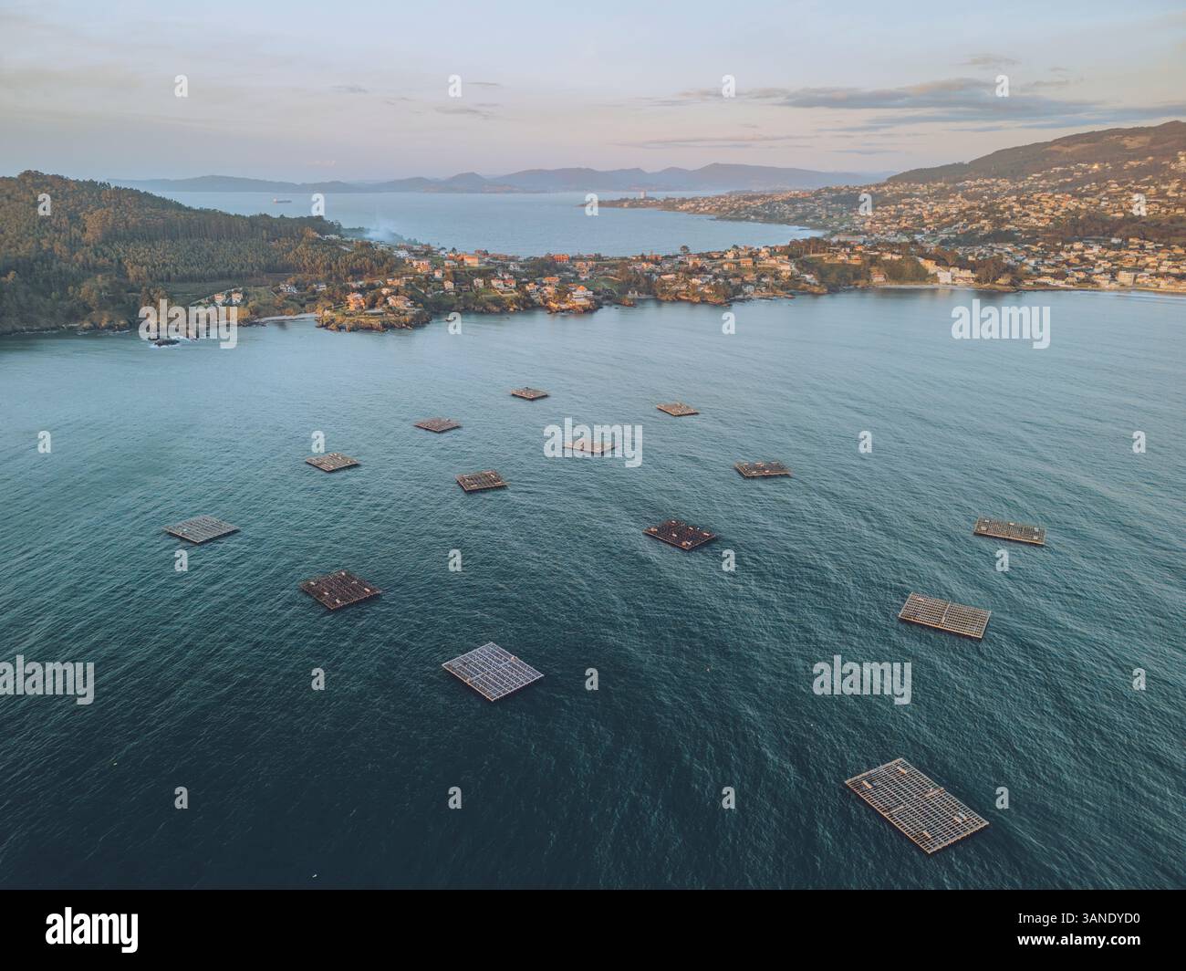 Aerial view of mussel farms with floating platforms in a tranquil bay ...