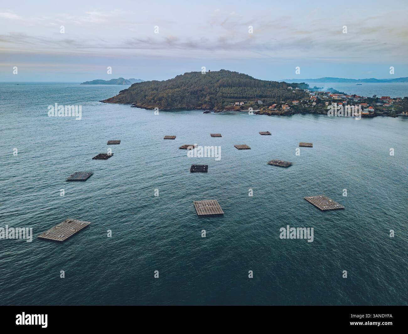 Aerial view of tranquil mussel farms with floating platforms in Ria de ...
