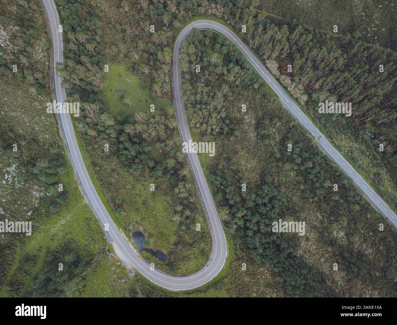 Aerial view of a winding road through a beautiful forest in A Groba ...