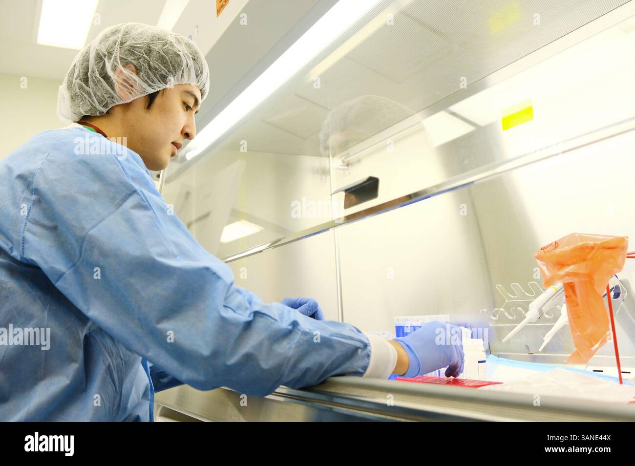 Conducting laboratory tests with different viruses and strains Stock ...