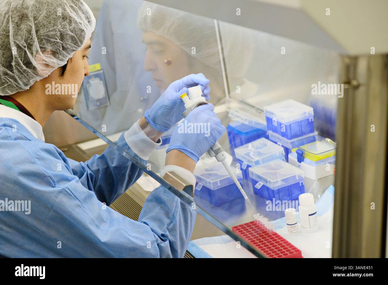 Conducting laboratory tests with different viruses and strains Stock ...