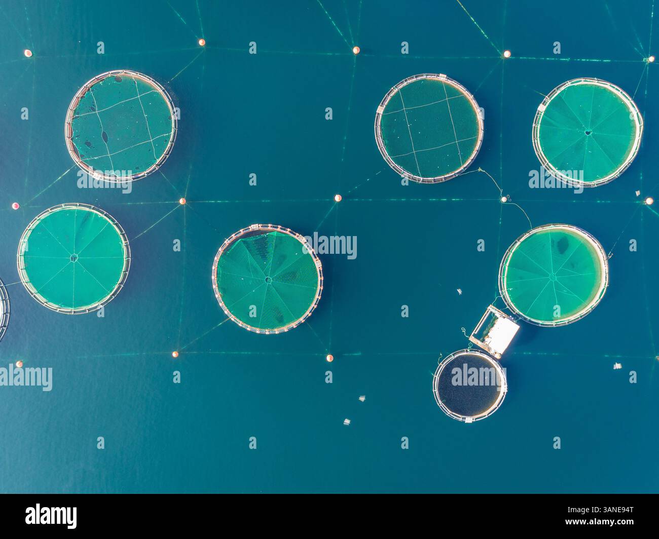 Aerial view of circular fish farm pools in the beautiful Mediterranean ...