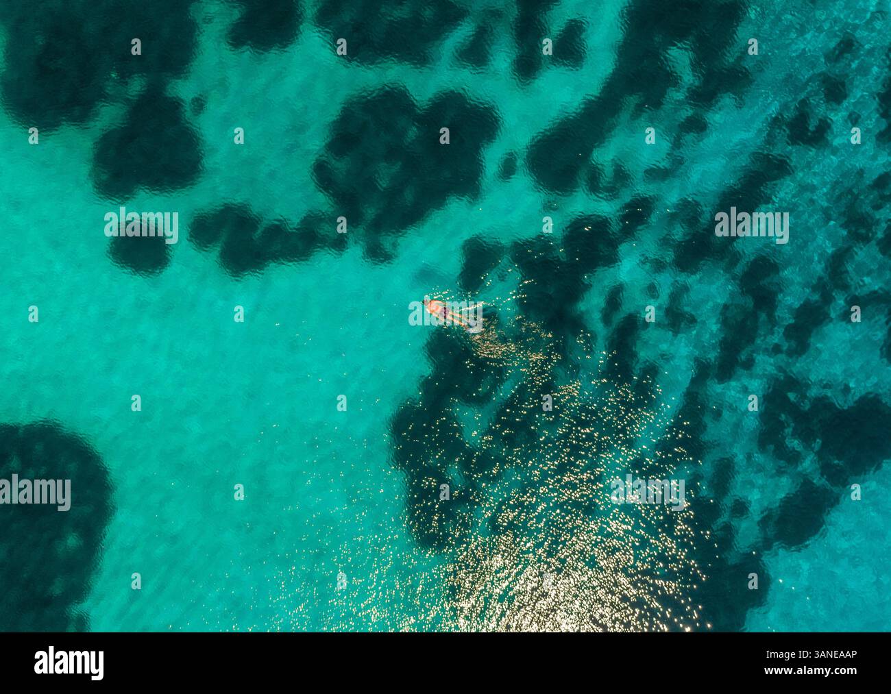 Man snorkeling alone birds view hi-res stock photography and images - Alamy