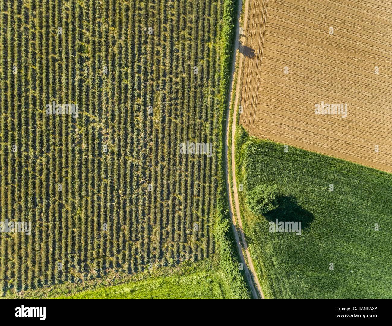 Ariel view of agricultural fields at beautiful Karditsa region in ...