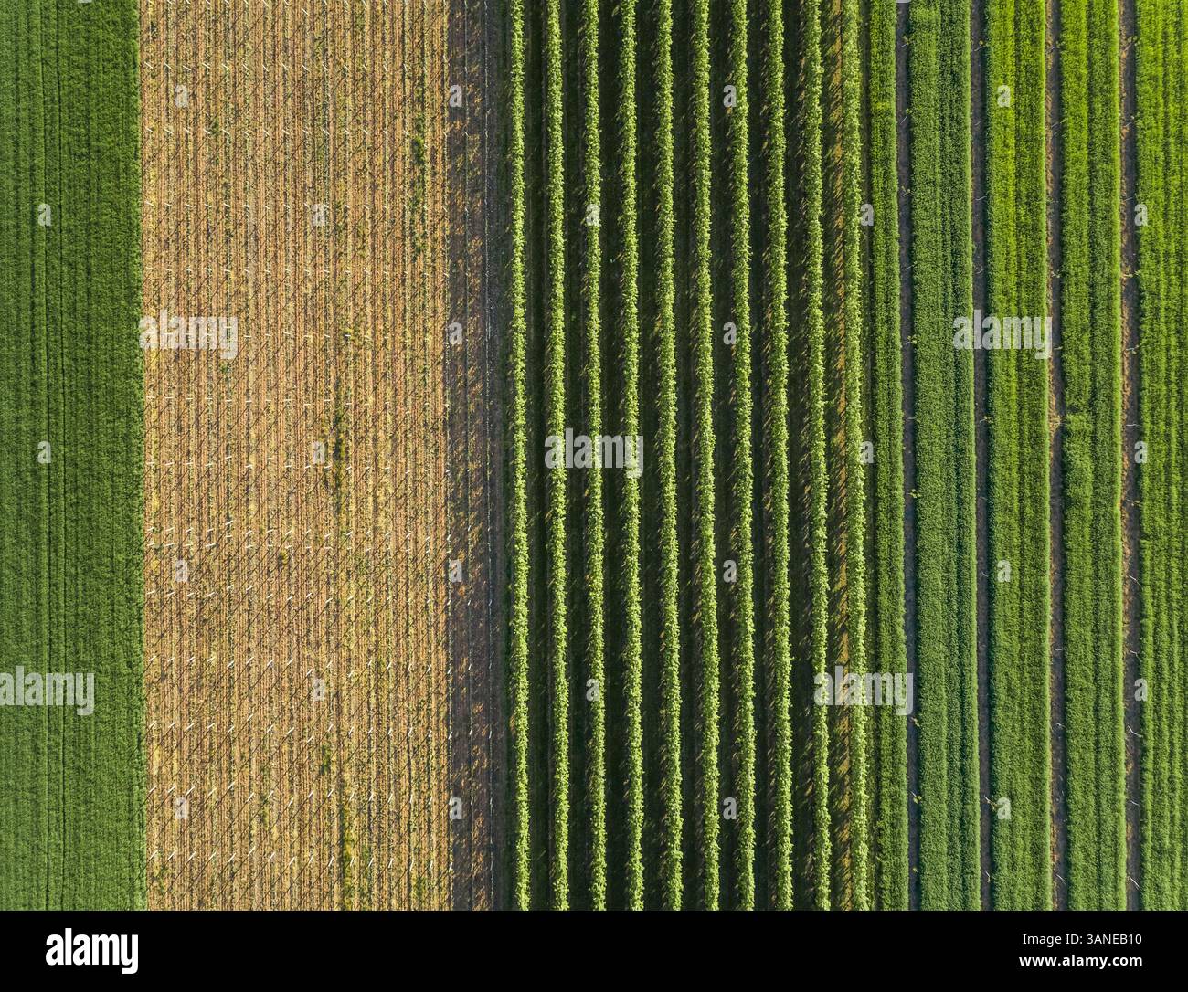 Aerial view of agricultural fields at beautiful Karditsa region in ...