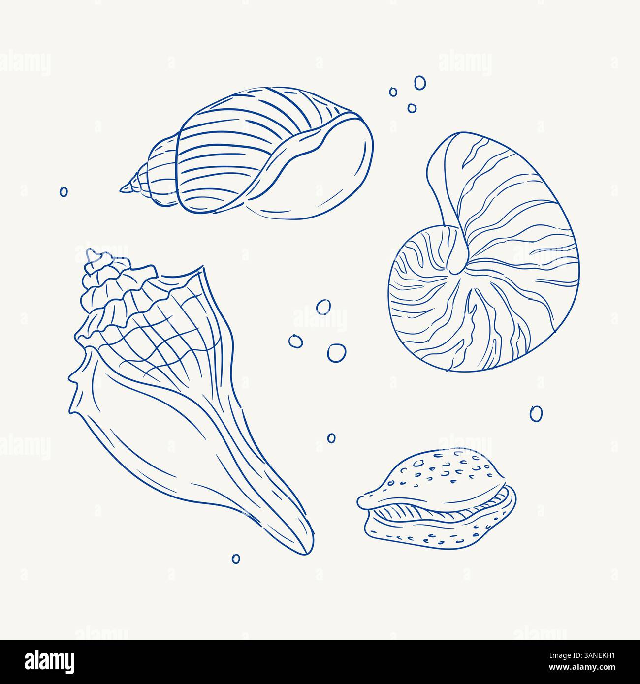 A detailed illustration featuring various types of shells, including ...