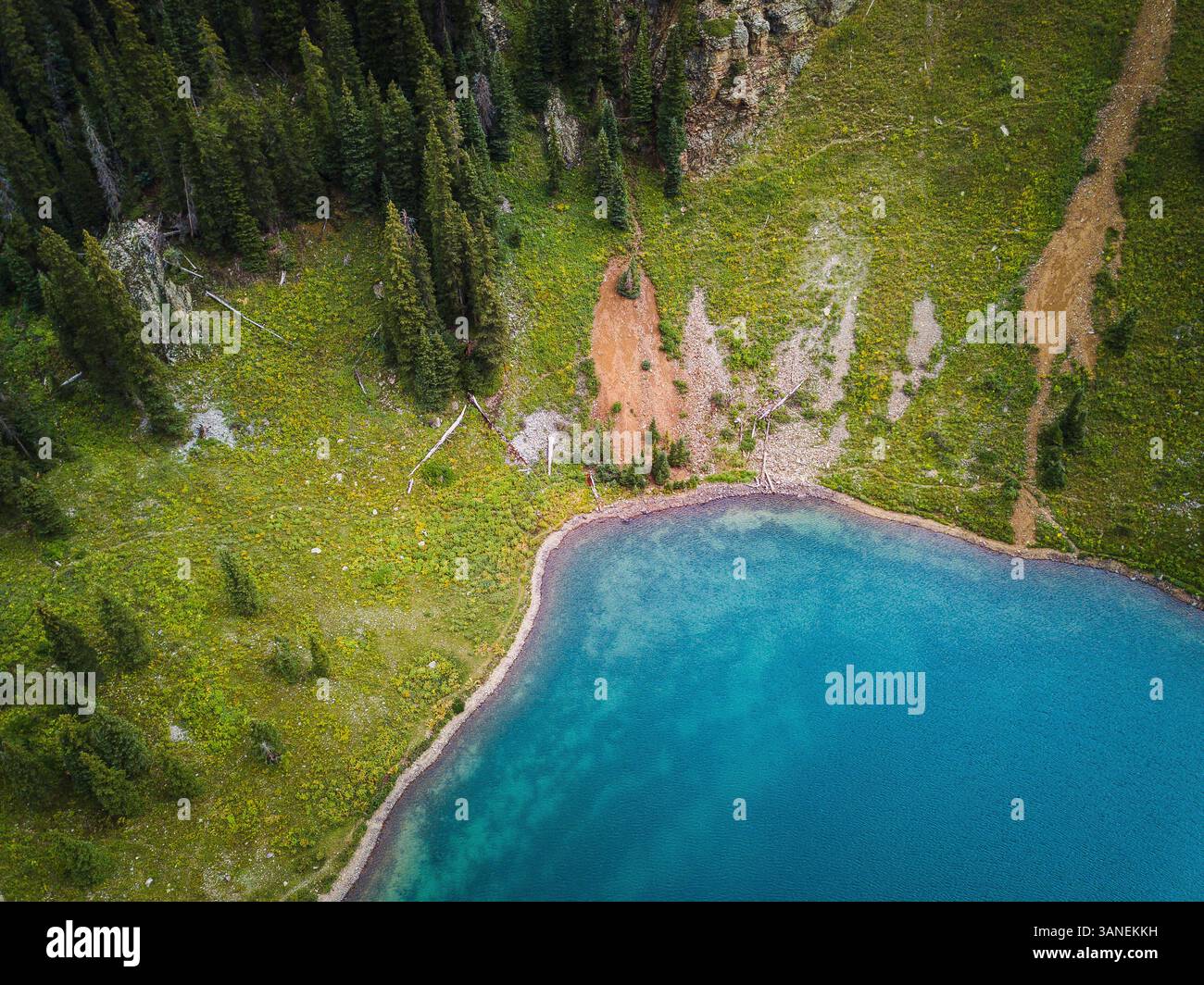Aerial view of Blue Lakes surrounded with pine trees, Telluride ...