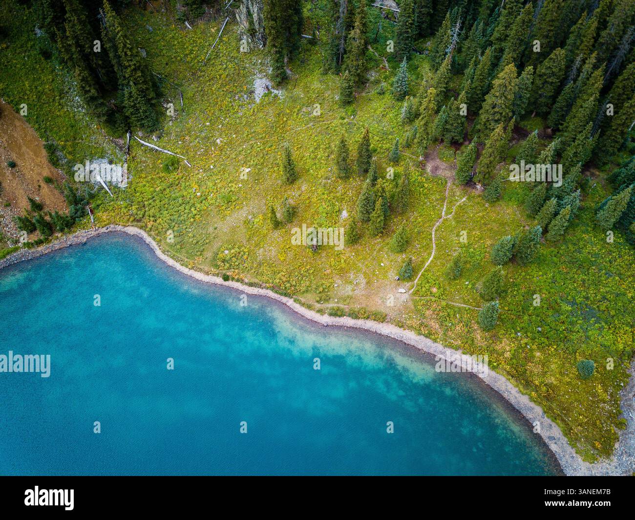 Aerial view of Blue Lakes surrounded with pine trees, Telluride ...
