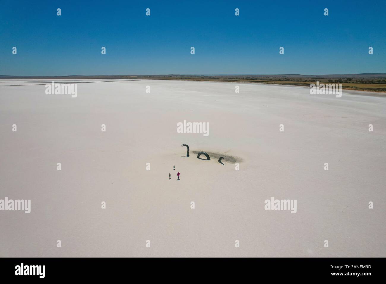 Aerial view of Lake Bumbunga with the Loch Ness monster sculpture in a ...