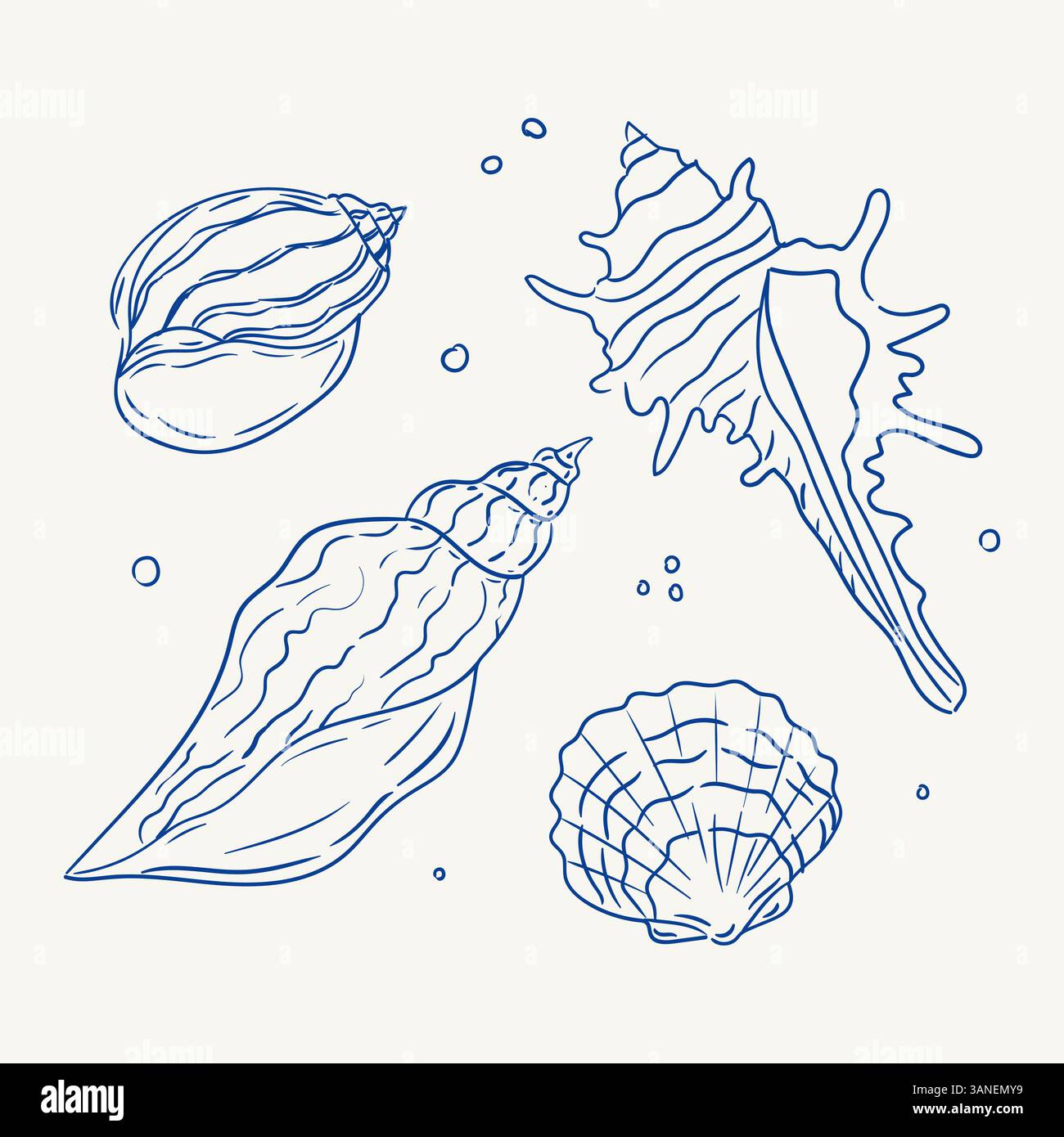 Shells of various shapes and sizes are artistically drawn with fine ...