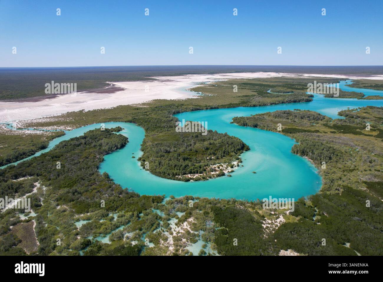 Aerial view of winding river surrounded by pristine mangroves and ...
