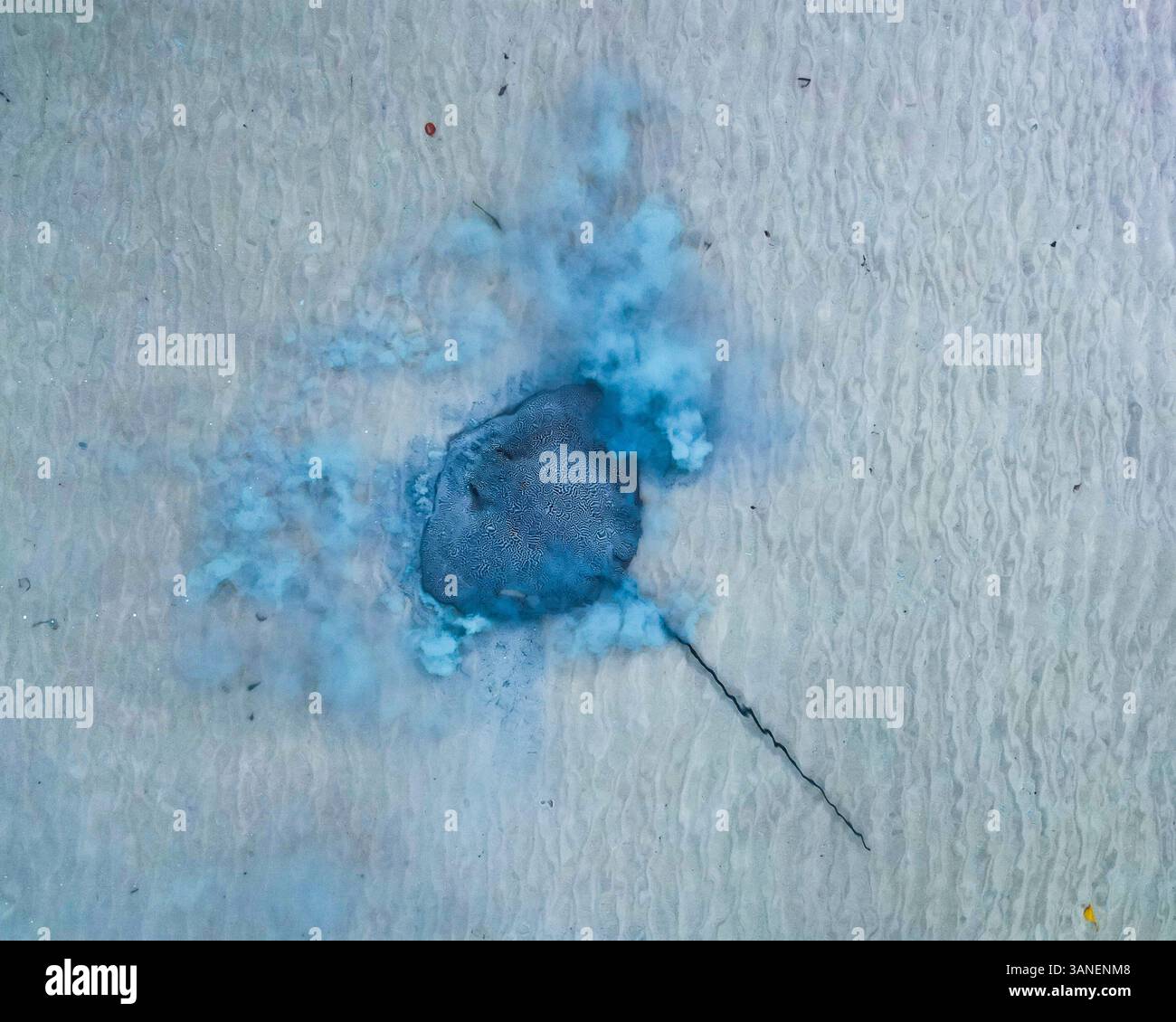 Aerial view of Cygnet Bay Pearl Farm with Leopard Whipray in tranquil ...