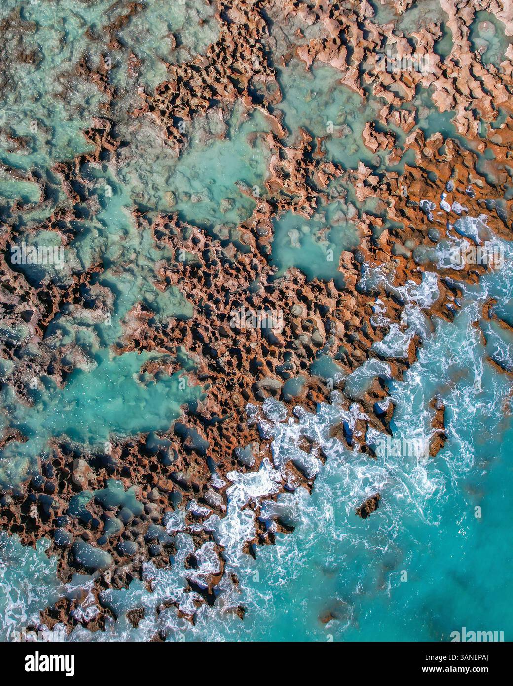 Aerial view of coral reef and turquoise water with rugged rocks and ...