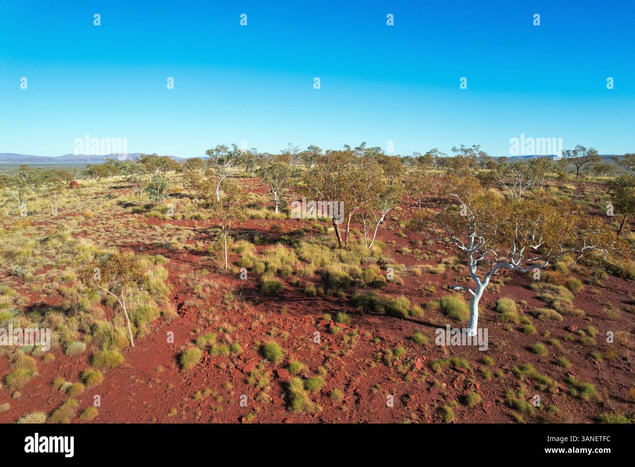 Aerial view of termite mound and red earth landscape with sparse ...