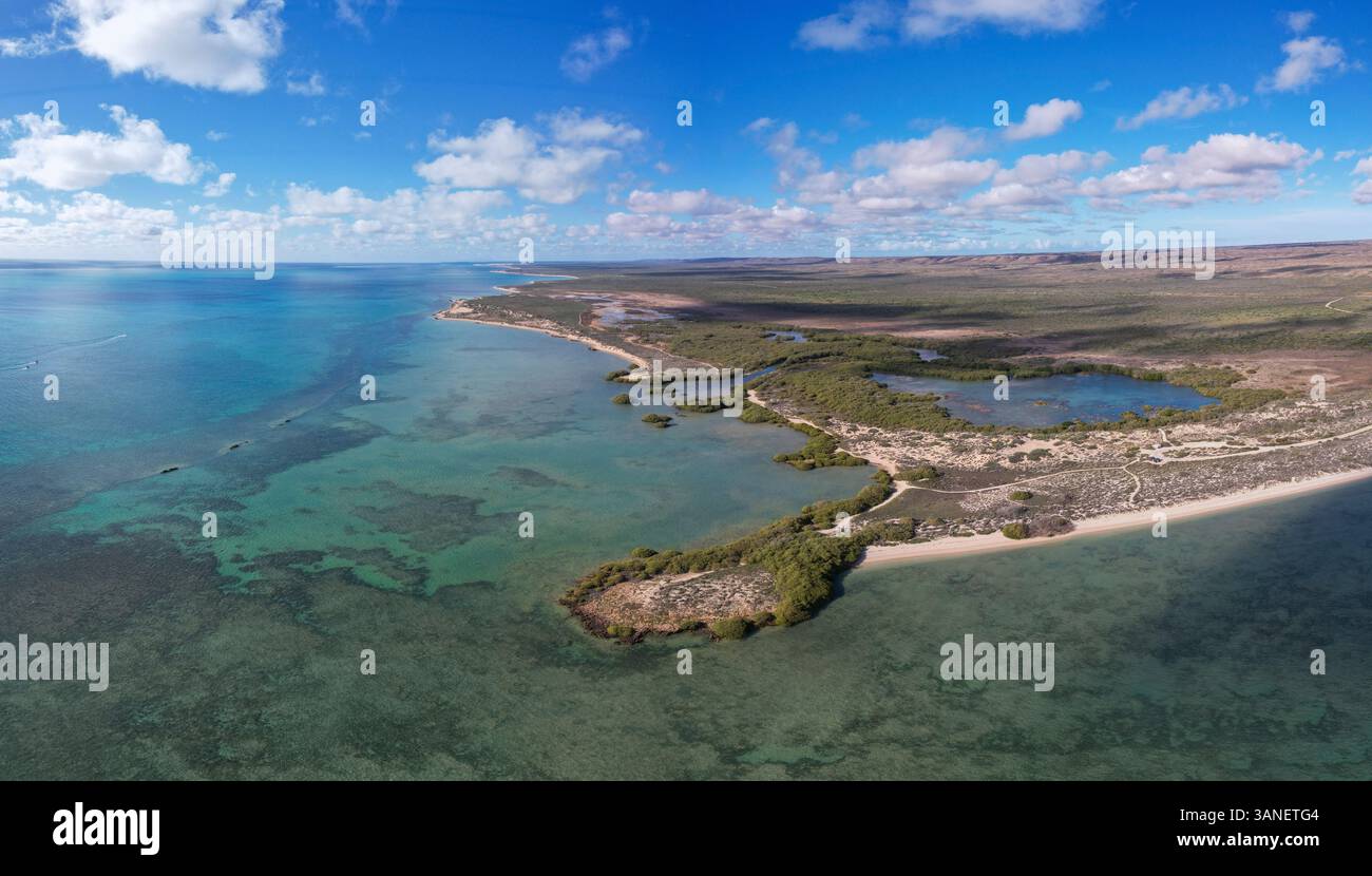 Aerial view of Mangrove Bay with beautiful coastline and serene ocean ...