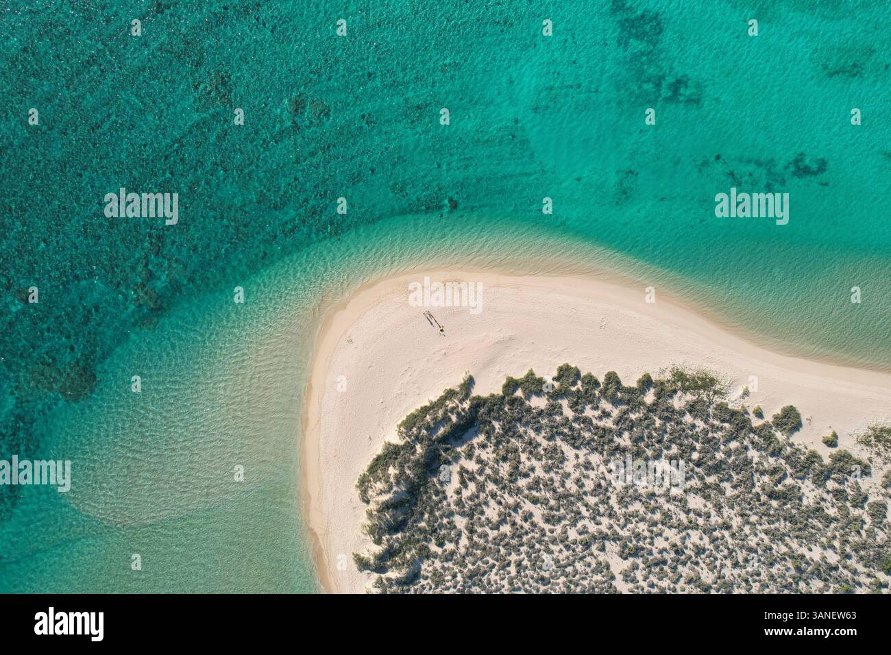 Aerial view of pristine sandy beach and turquoise ocean at Osprey ...