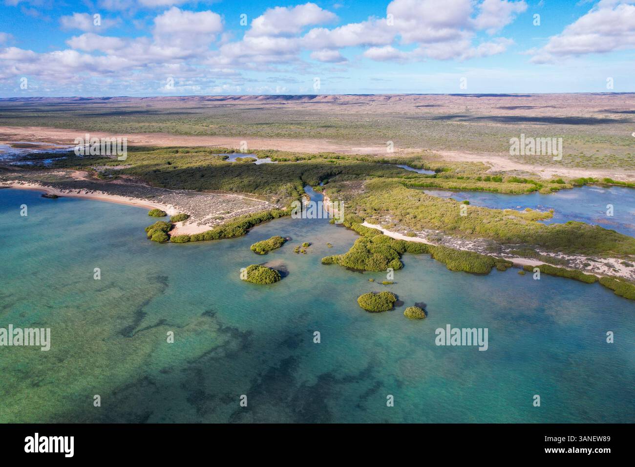 Aerial view of mangrove bay with beautiful coastline and natural reef ...