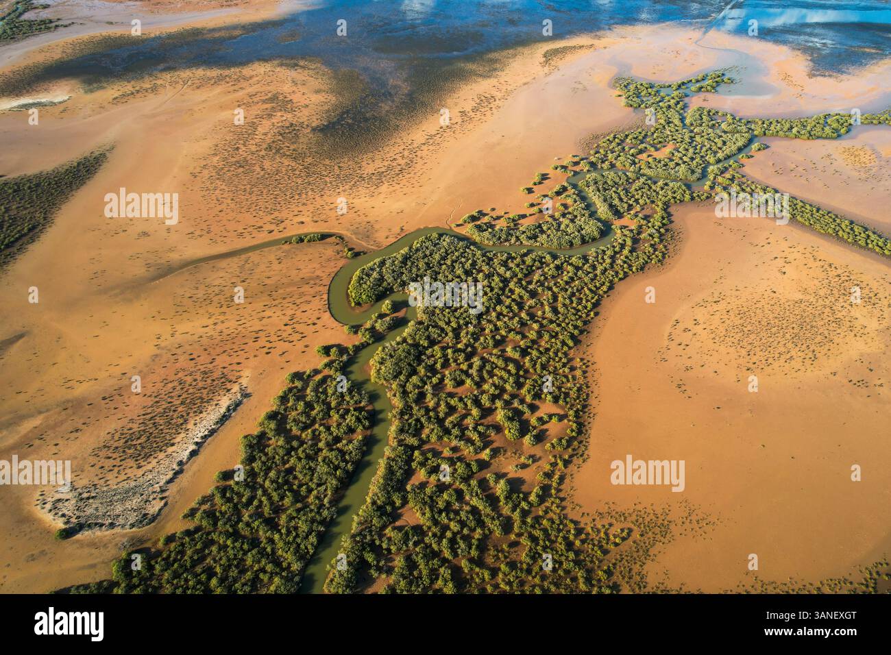 Aerial view of beautiful mangroves and serpentine river in Massey Bay ...