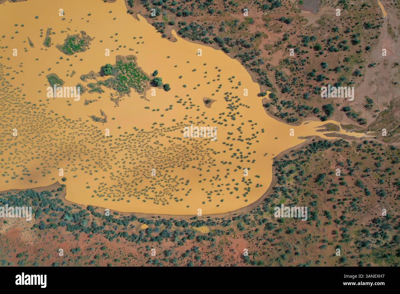 Aerial view of beautiful Lake Breaden surrounded by desert and ...