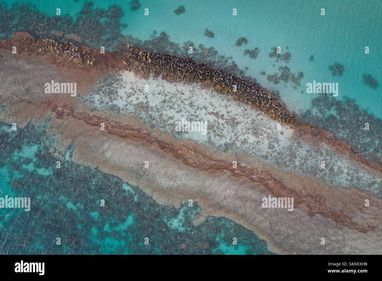 Aerial view of Bills Bay and Ningaloo Reef with turquoise water and ...