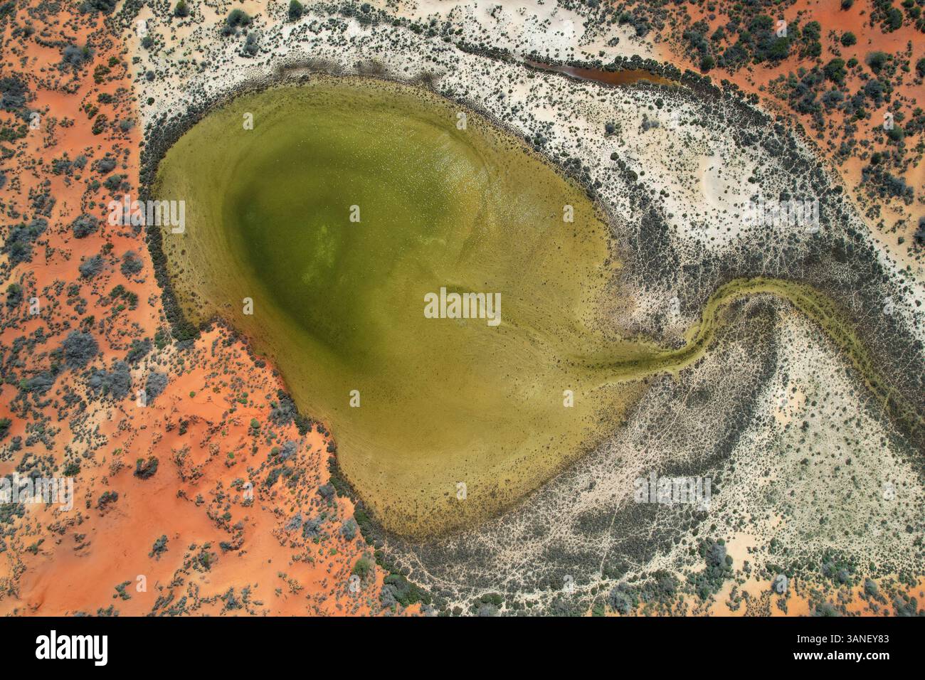 Aerial view of Big Lagoon surrounded by serene desert and vibrant ...