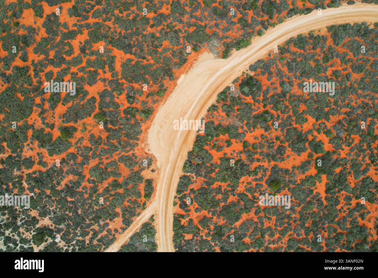 Aerial view of Shell Beach sand track surrounded by beautiful ...